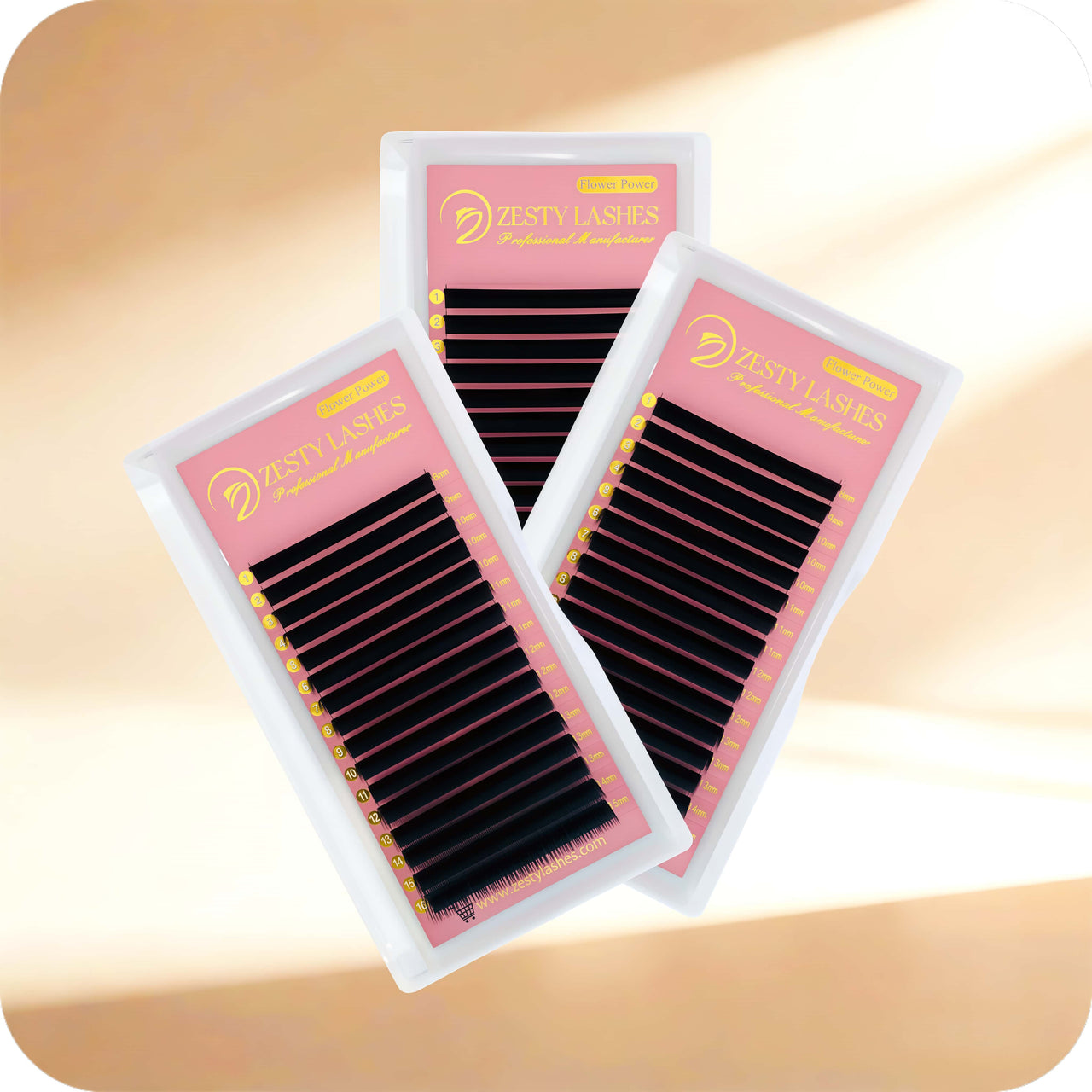 ZESTYLASHES | Eyelash Extensions And Glue Liquid Suppliers